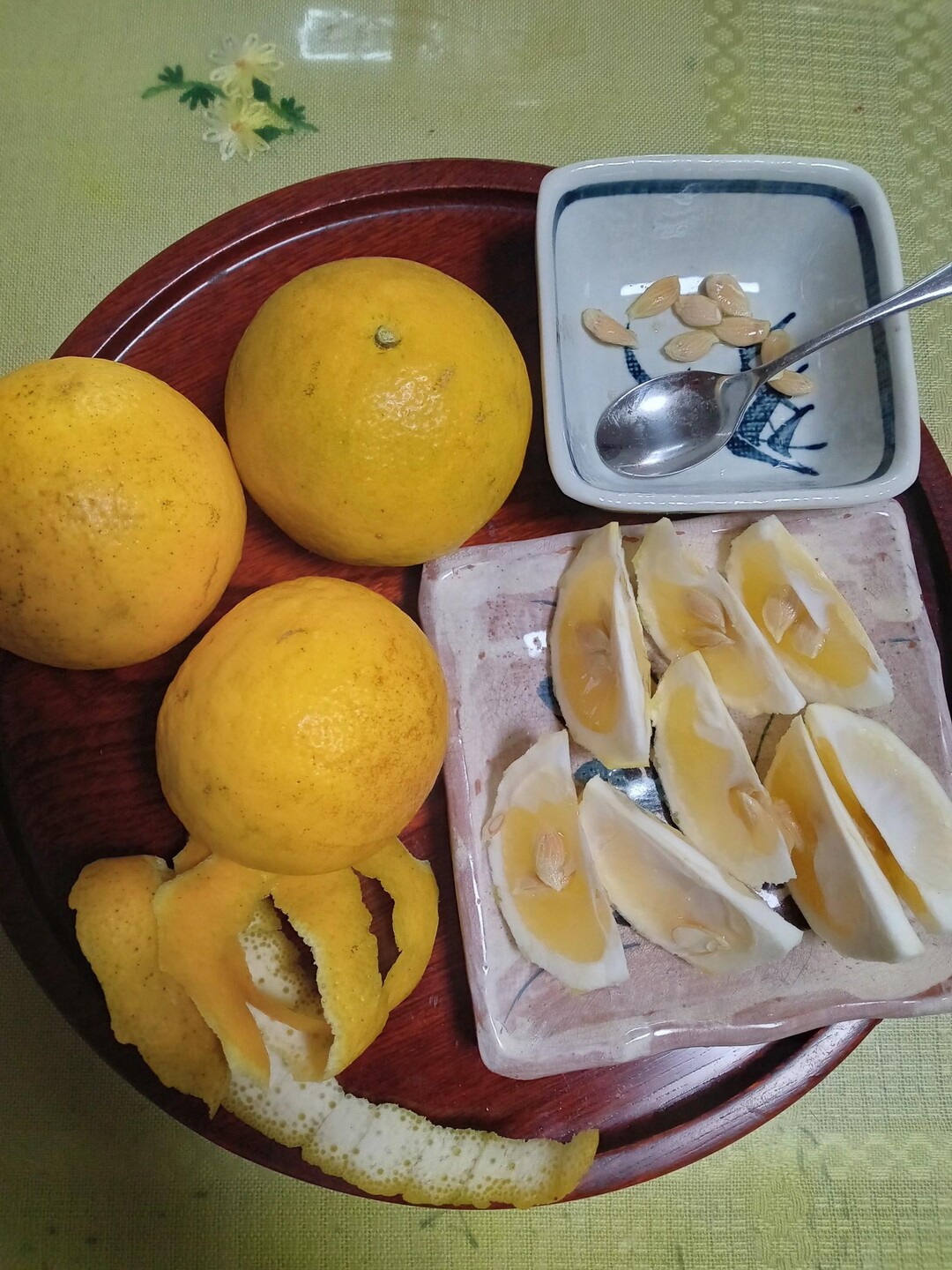 日向夏。 めしあがれ。 友人からの日向夏... / yuusenさんのモーメント | YAMAP / ヤマップ