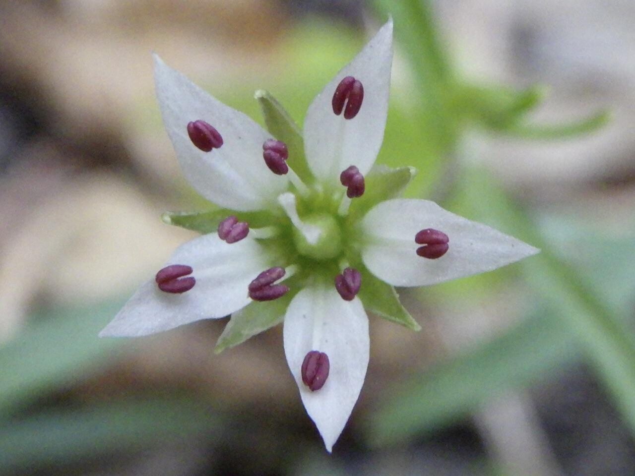 TAKKUNのページ | YAMAP / ヤマップ