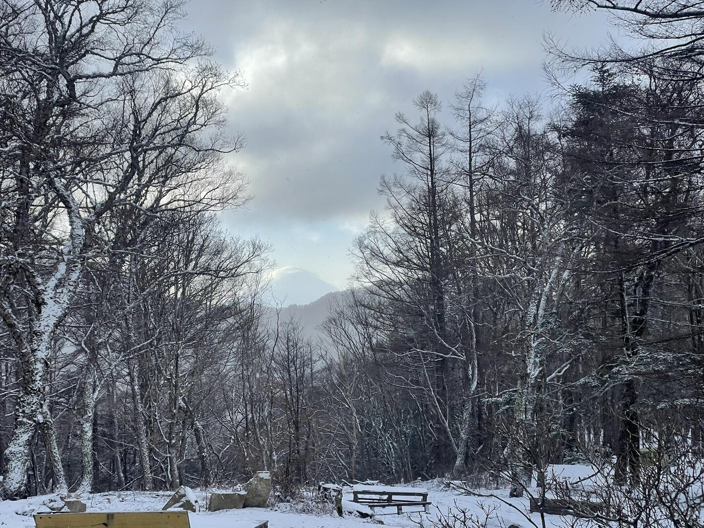 金峰山思っていた以上に寒すぎ / kakoさんの瑞牆山・金峰山の活動データ | YAMAP / ヤマップ