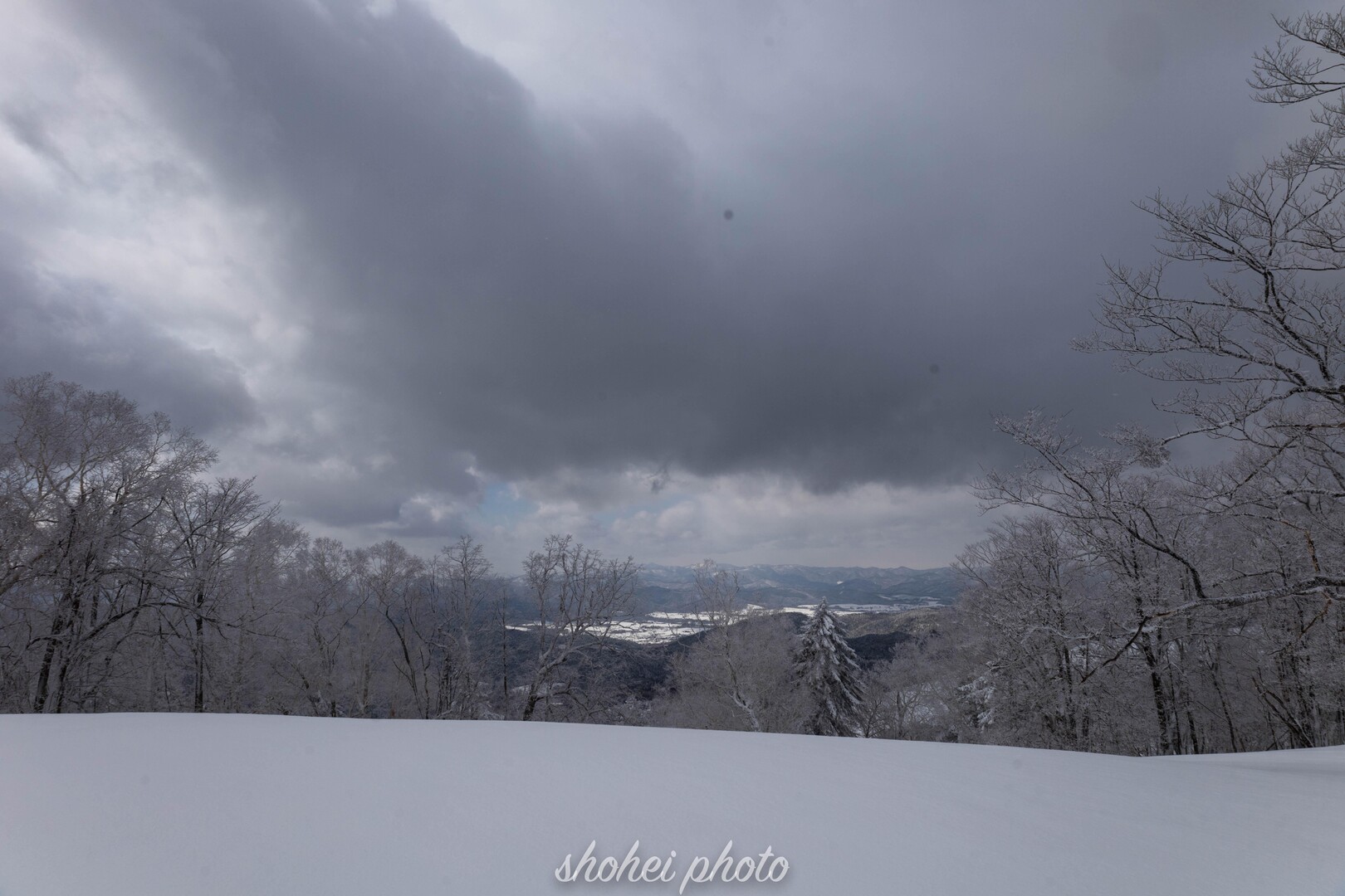 平岳・熊山 ️ / sho!!さんの芦別市の活動データ | YAMAP / ヤマップ