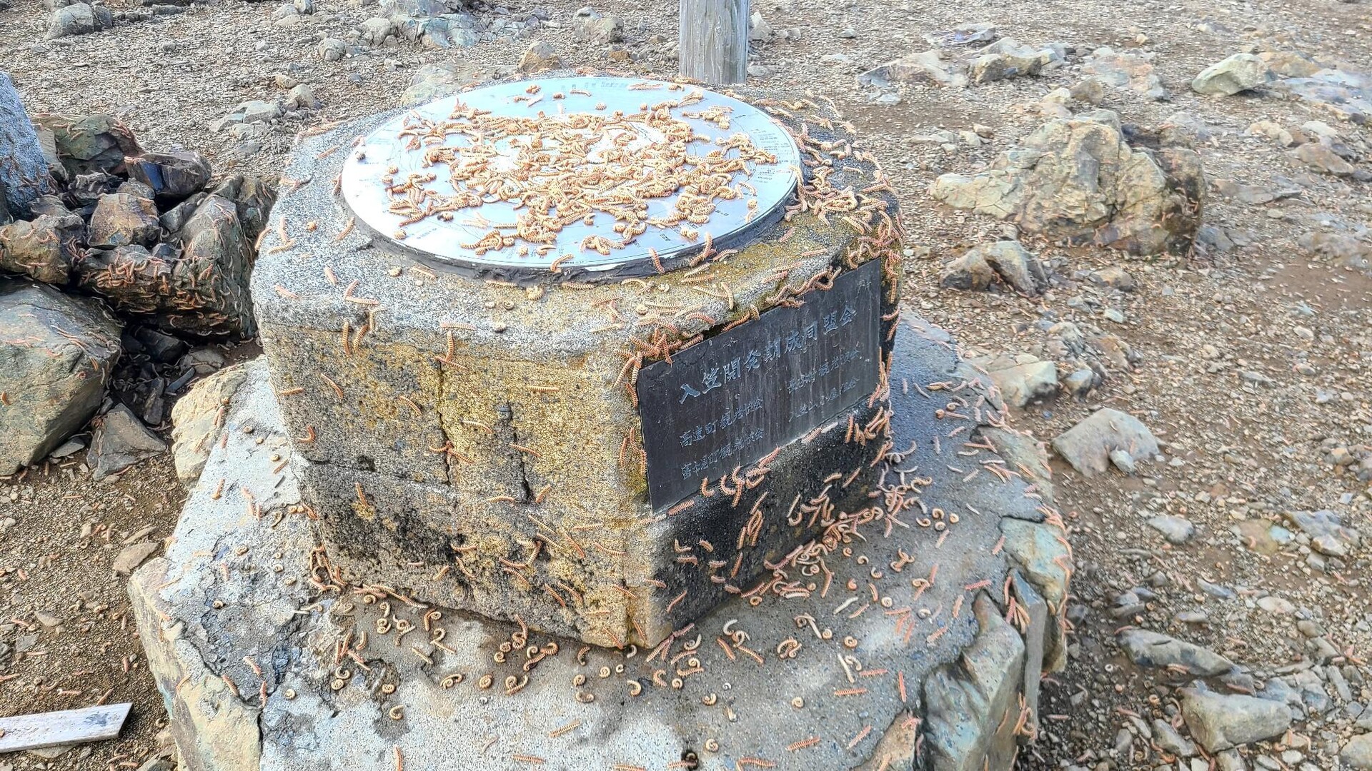 入笠山 / hachi.papaさんの入笠山の活動データ | YAMAP / ヤマップ