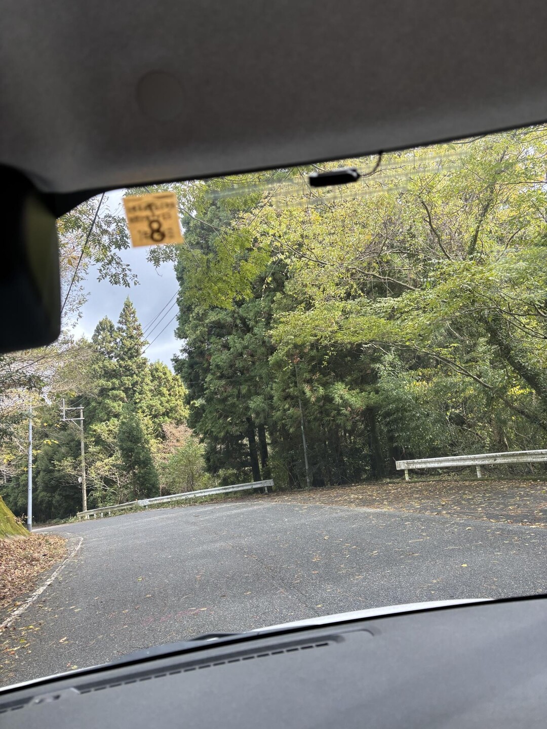 #道中 #井原山 / Tomocoさんのモーメント | YAMAP / ヤマップ