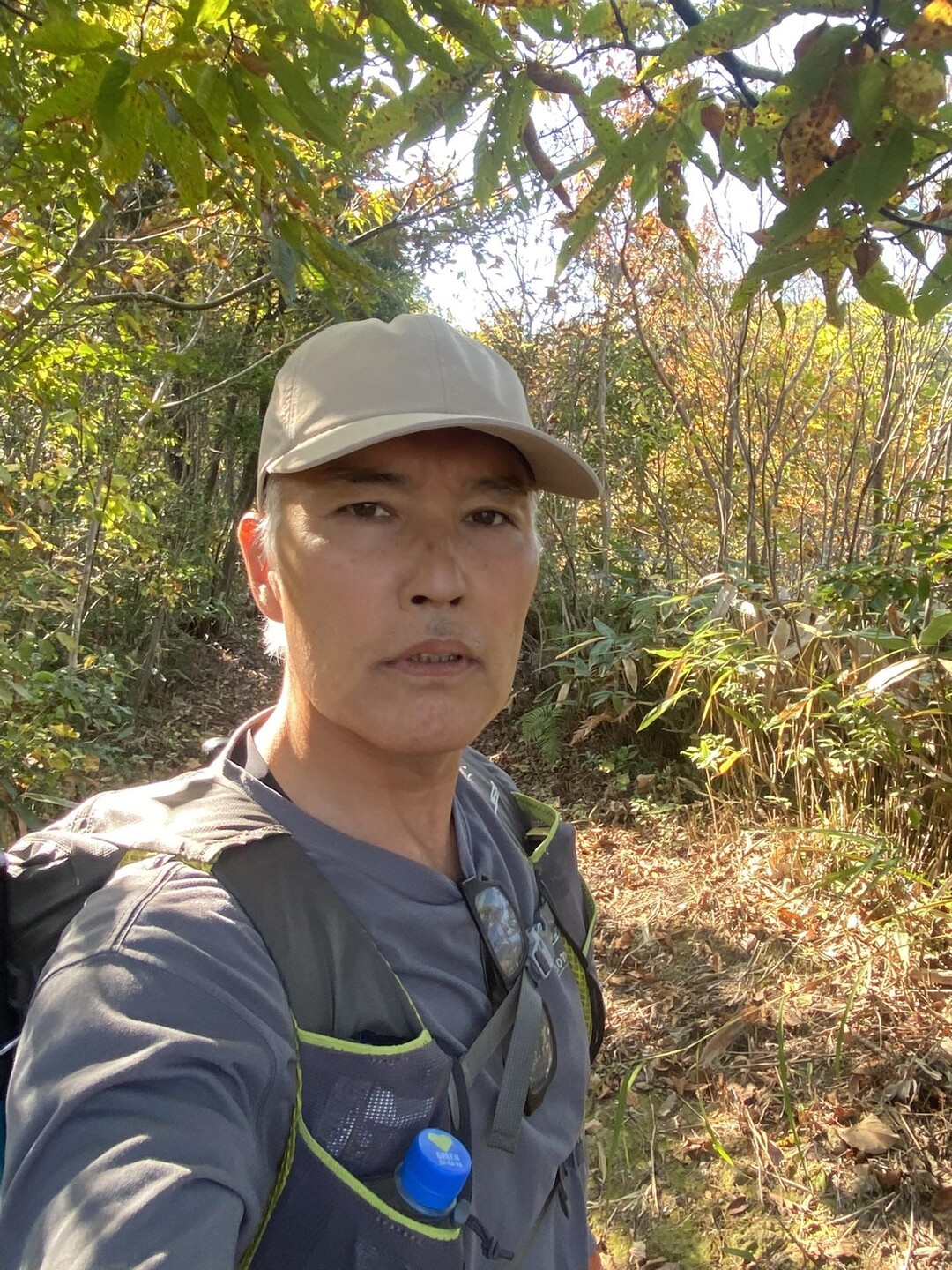 後山・鞍掛山 ソロでソロリソロリと歩いてきました😊 / yasuyasuさんの鞍掛山・後山・三童子山の活動データ | YAMAP / ヤマップ