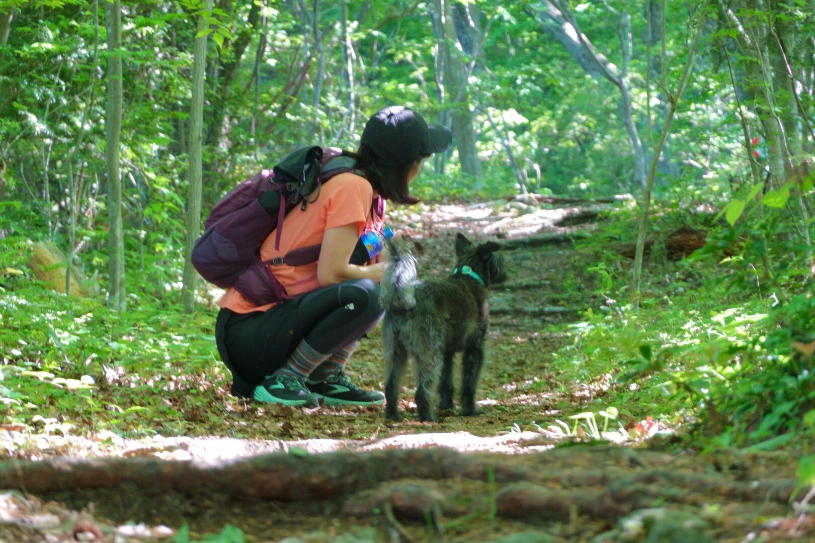 八重山～昨日はごめんね💦 / koroponさんの八重山・能岳・聖武連山・要害山の活動データ | YAMAP / ヤマップ