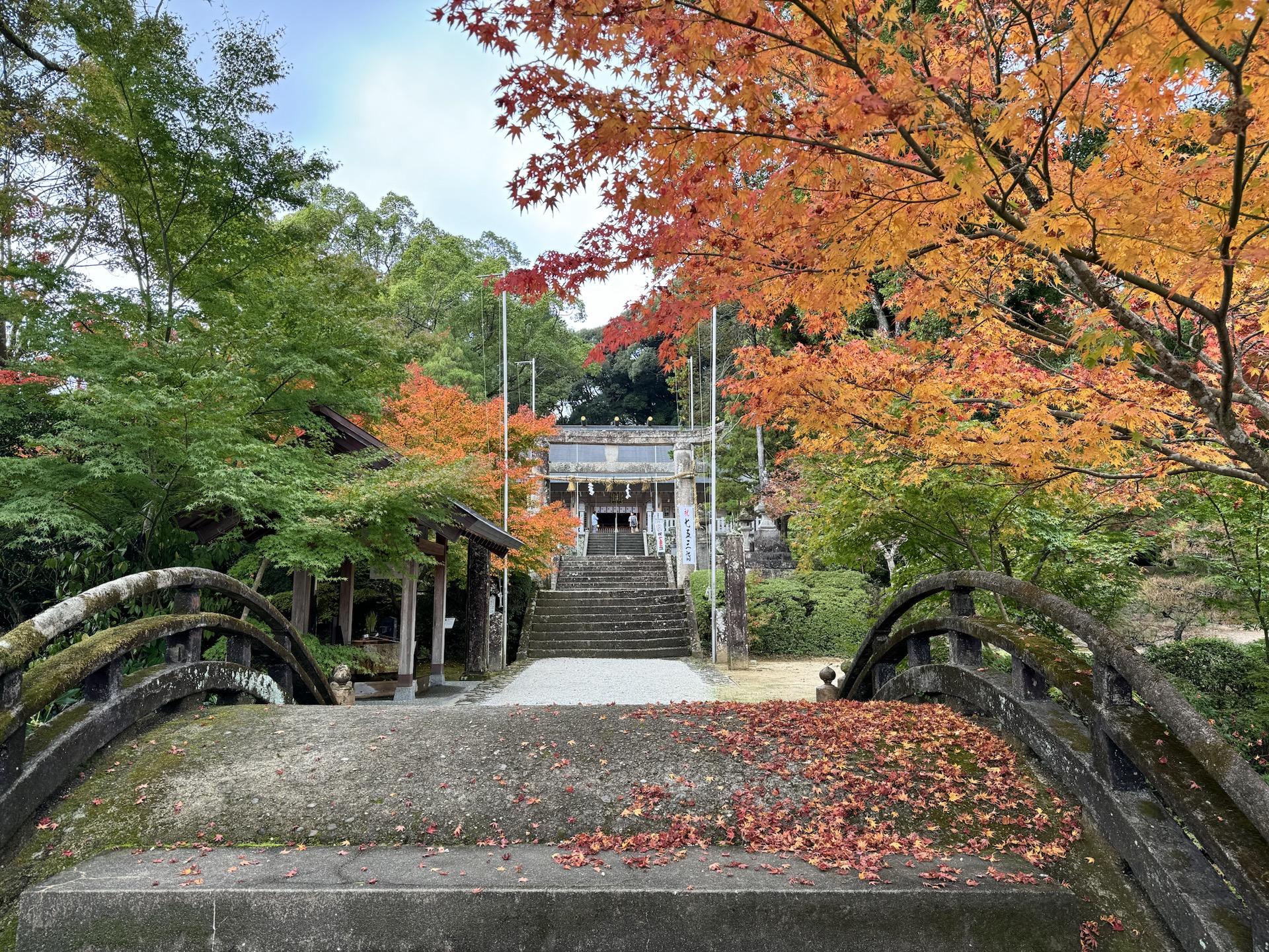 黒髪山⛰️紅葉は黒髪神社がオススメ🍁 / 0kcalさんの黒髪山・青螺山の活動データ | YAMAP / ヤマップ