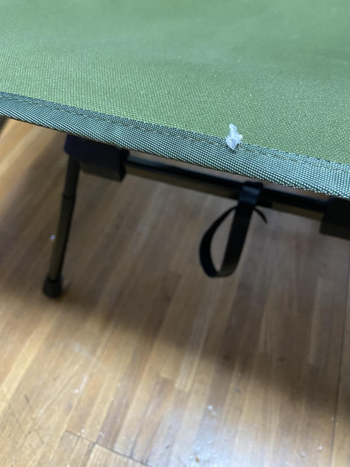 実家で不思議な虫を発見 調べてみたらオオ... / goqooさんのモーメント | YAMAP / ヤマップ