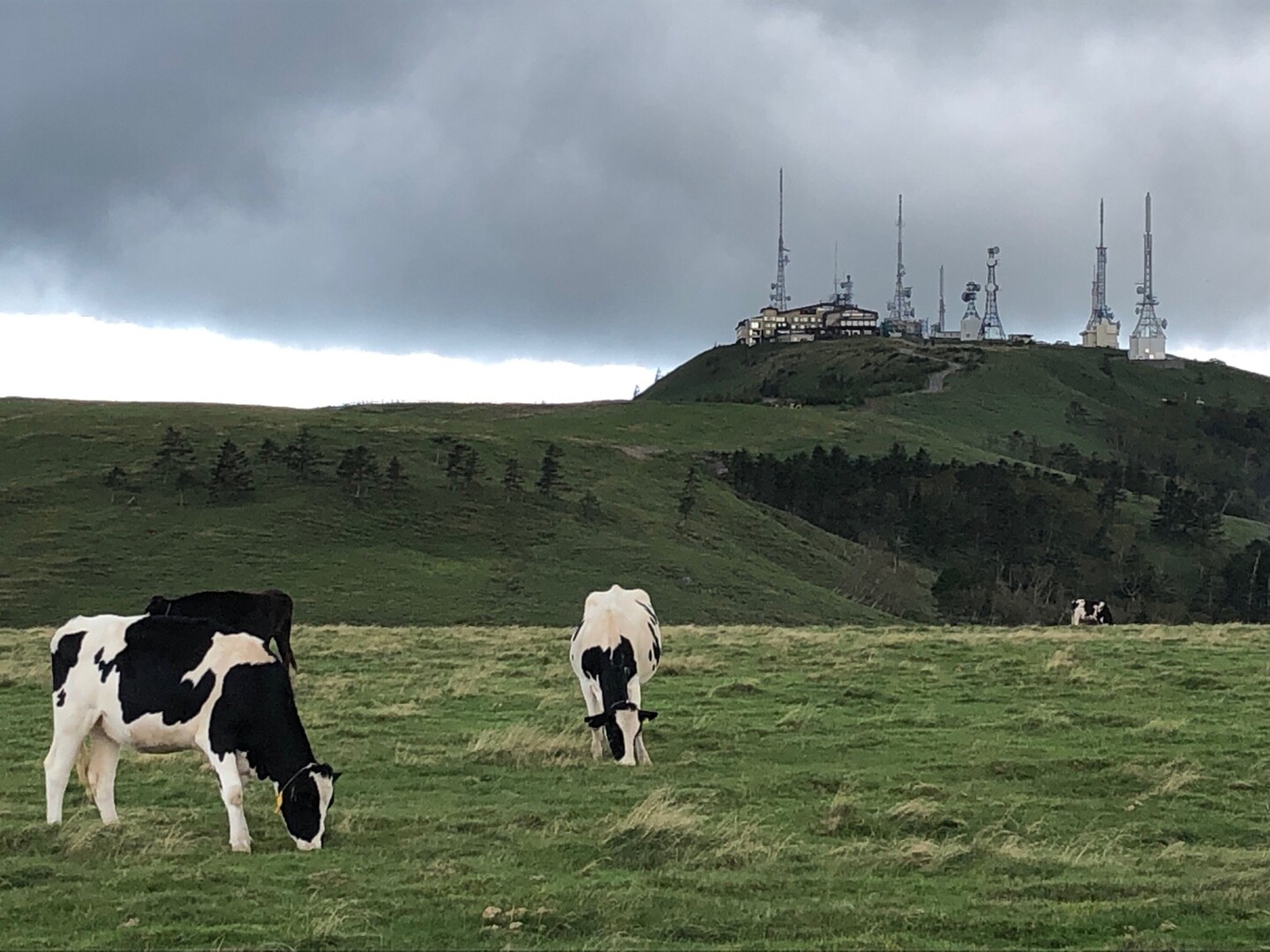 ついでに(=ﾟωﾟ)ﾉ美ヶ原(王ヶ頭) / taeさんの美ヶ原の活動データ | YAMAP / ヤマップ