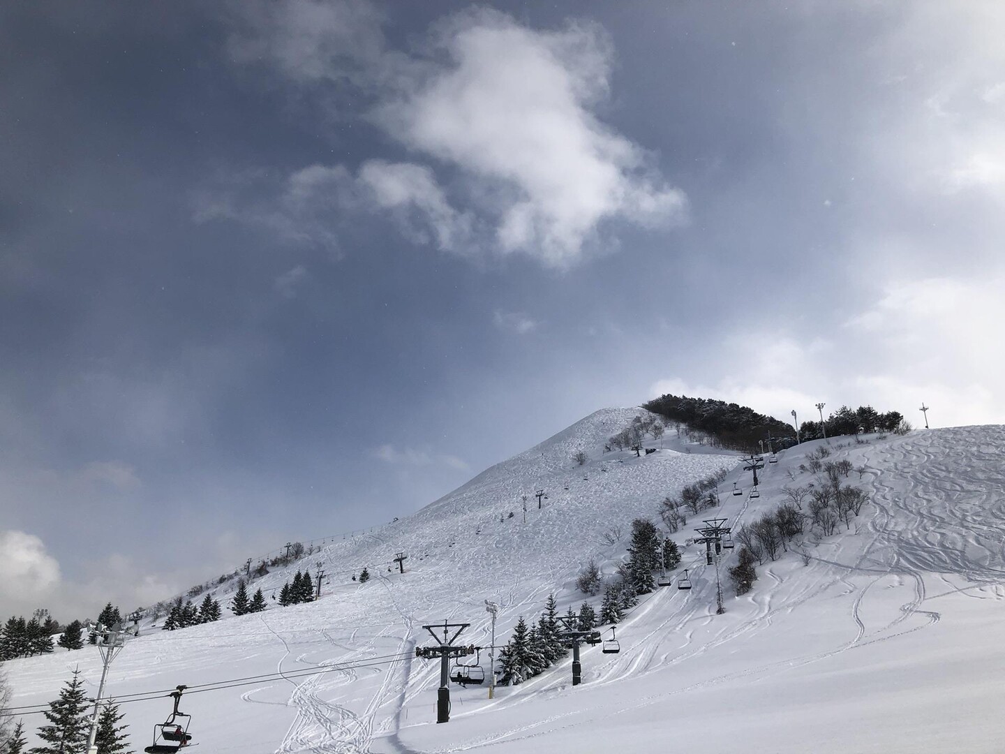 雲谷峠（DIYスプリットボード滑走テスト） / snow@ystさんの青森市の活動データ | YAMAP / ヤマップ