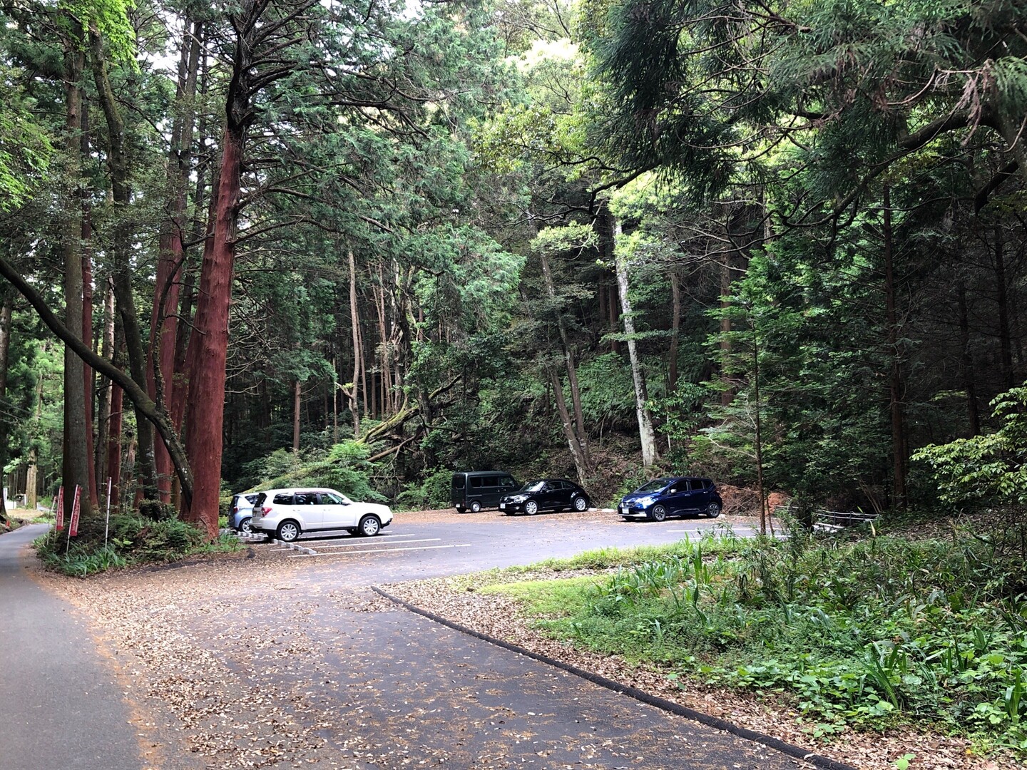 NORYさんの投稿したフィールドメモ | YAMAP / ヤマップ