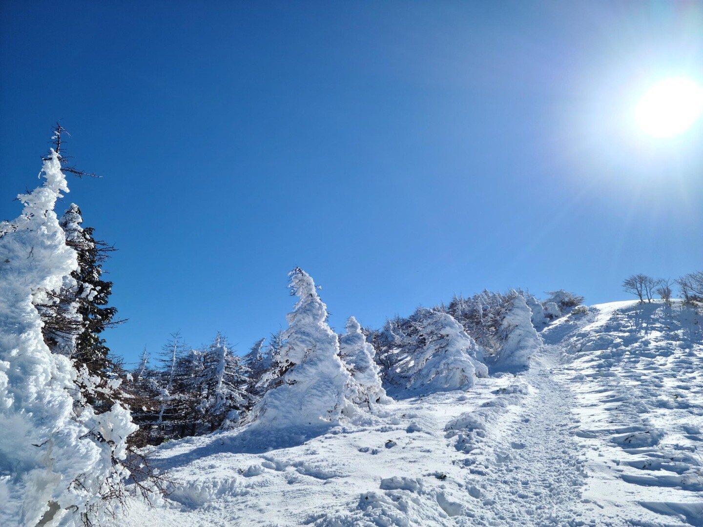 南沢山・横川山 / TEPPY さんの御嶽山・継子岳・摩利支天山の活動データ | YAMAP / ヤマップ
