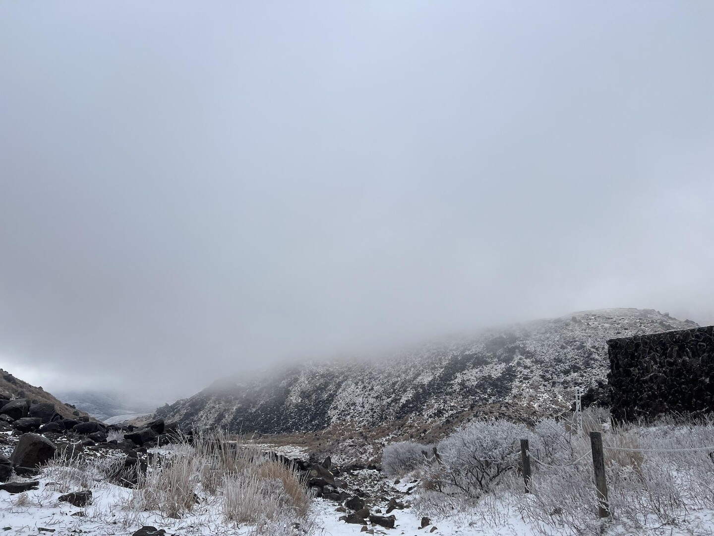 法華院山荘→スガモリ越え→長者原-2024-12-08 / kaji.hane_haretokeさんの九重山（久住山）・大船山・星生山の活動データ | YAMAP / ヤマップ