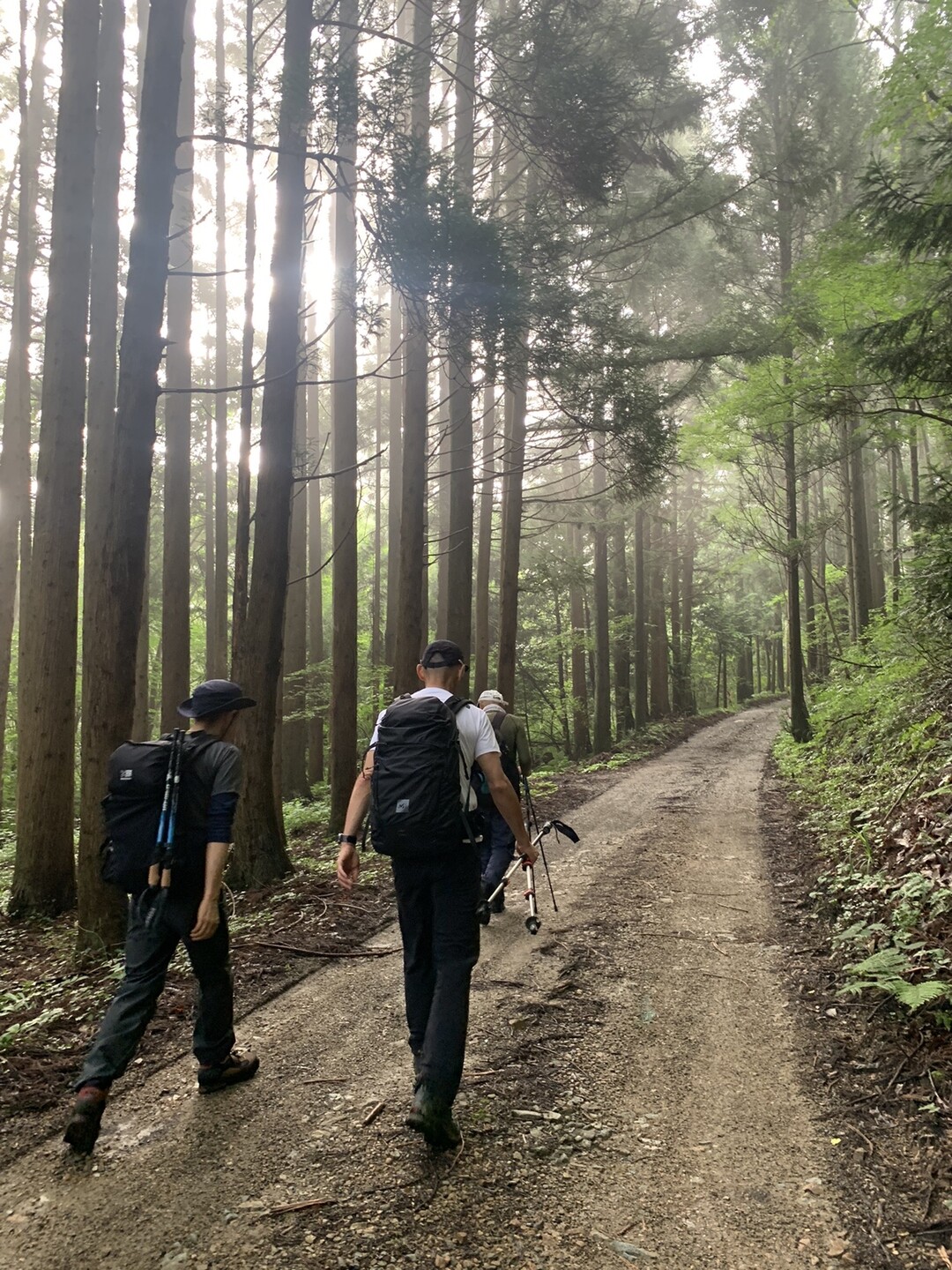 毛無山(福田頭) / ktakuさんの福田頭（毛無山）の活動データ | YAMAP / ヤマップ