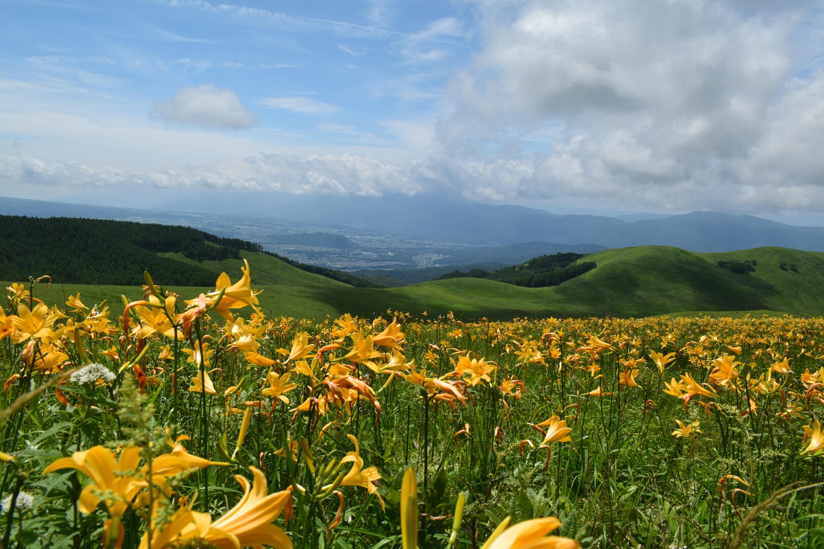 霧ヶ峰（車山） / nm25さんの霧ヶ峰・車山・大笹峰の活動データ | YAMAP / ヤマップ