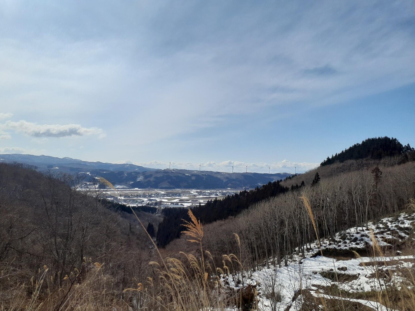 茂刈山 / Tomoさんの茂刈山の活動データ | YAMAP / ヤマップ