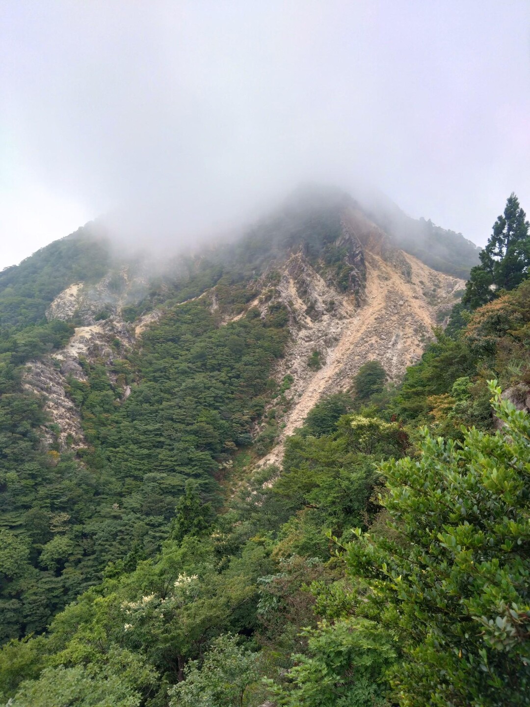 鎌ヶ岳 / omifuji4さんの入道ヶ岳・鎌ヶ岳・仙ヶ岳の活動データ | YAMAP / ヤマップ