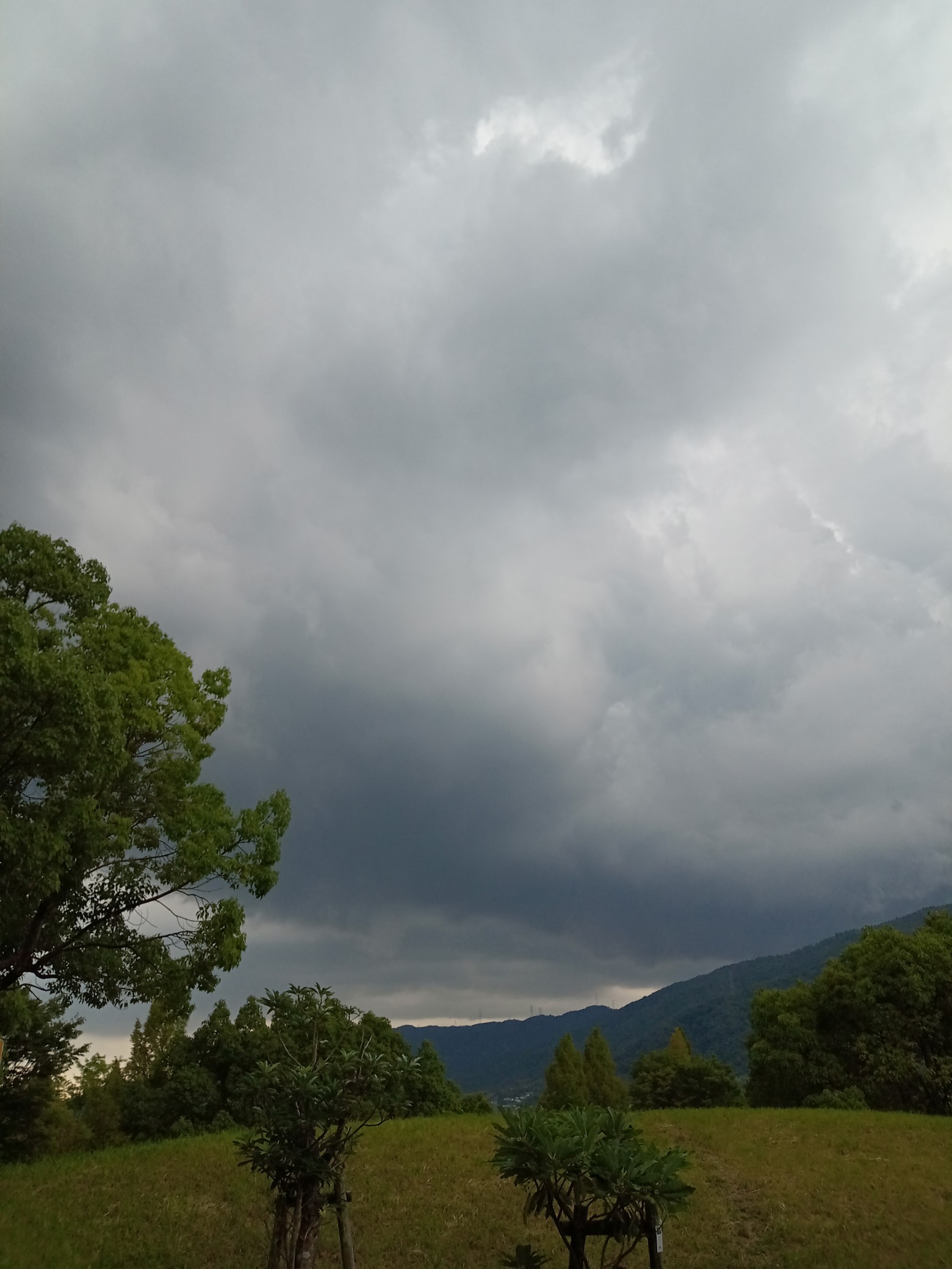 ボール MADE IN JAPAN プチ... / yuusenさんのモーメント | YAMAP / ヤマップ