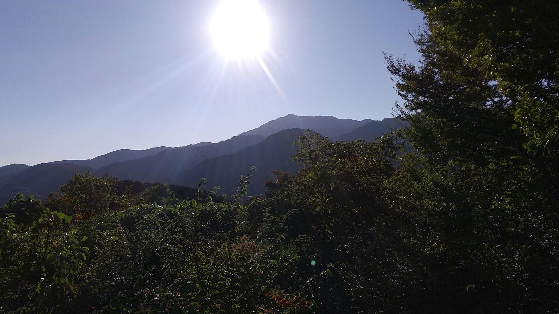 厚木白山 山トレ男坂 / けいたさんの厚木市の活動データ | YAMAP / ヤマップ