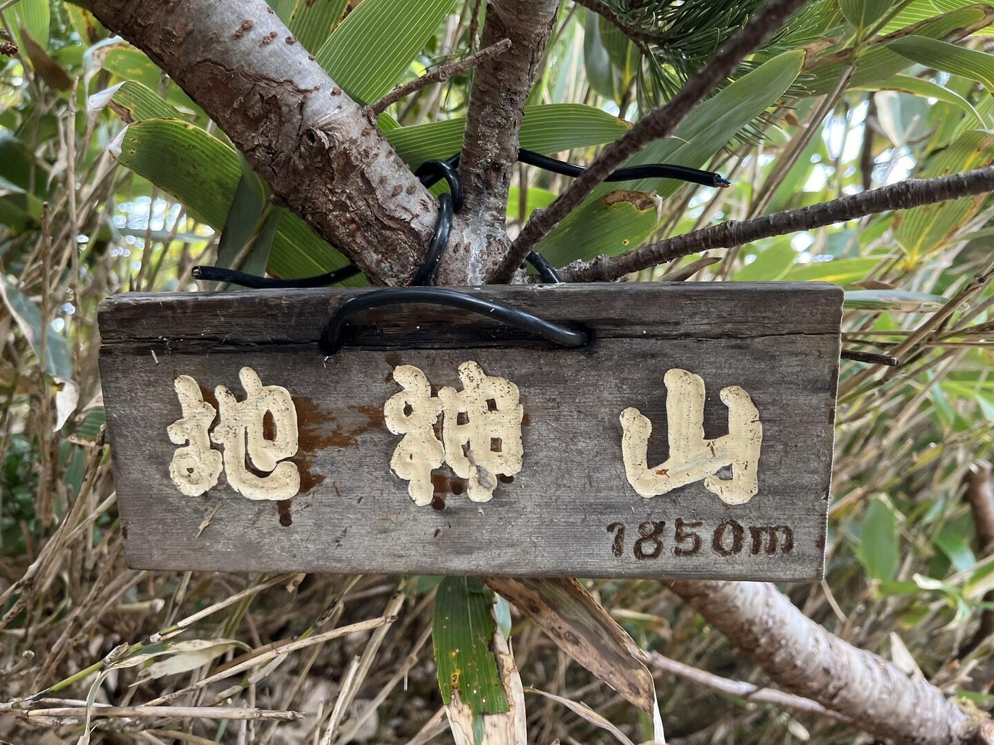 丸森尾根から地神山 / wacaさんの朳差岳・鉾立峰・大石山の活動データ | YAMAP / ヤマップ