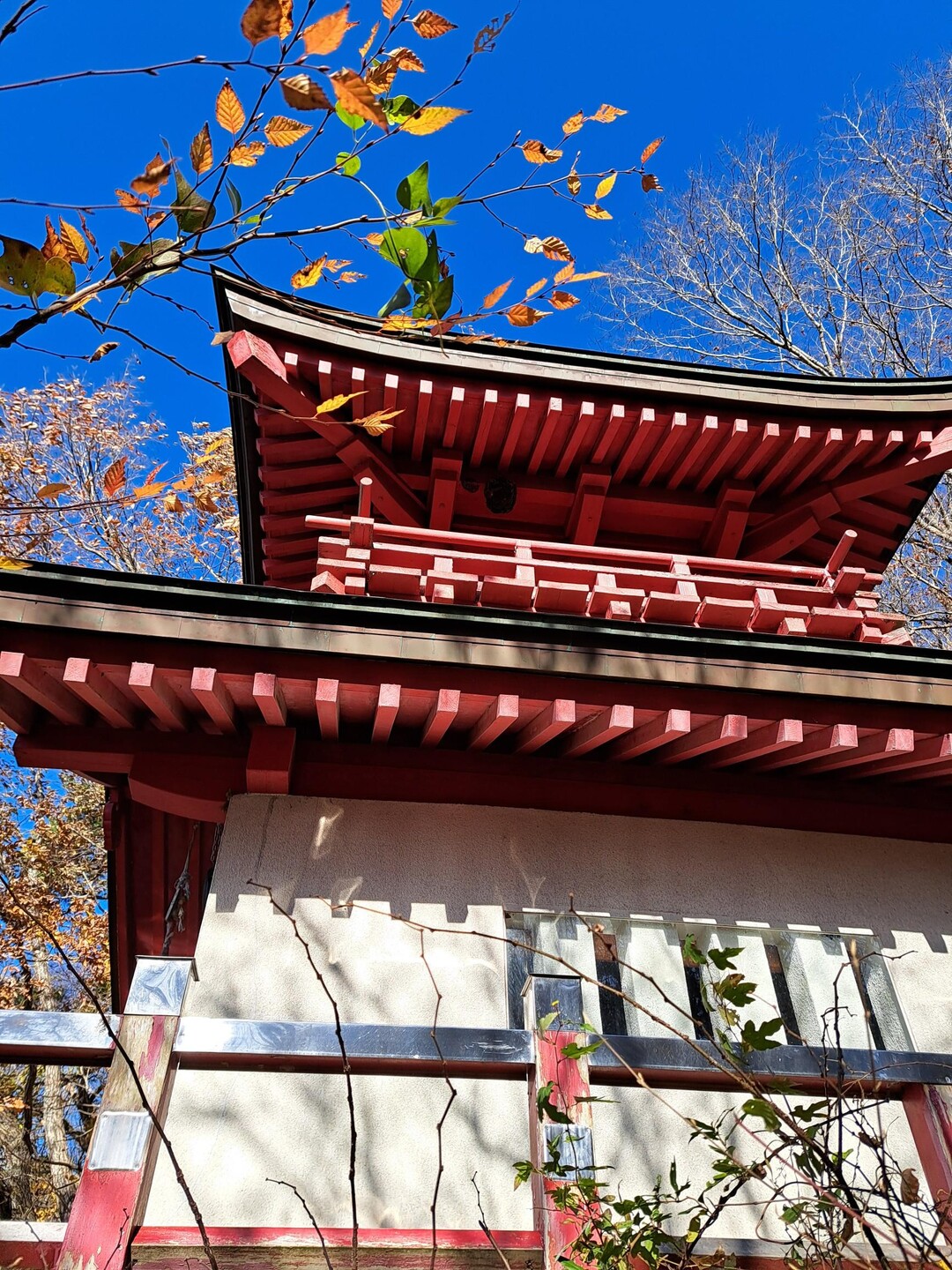 生瀬富士・大子アルプス-2023-11-29 / MEGUMI。さんの生瀬富士・大子アルプスの活動データ | YAMAP / ヤマップ