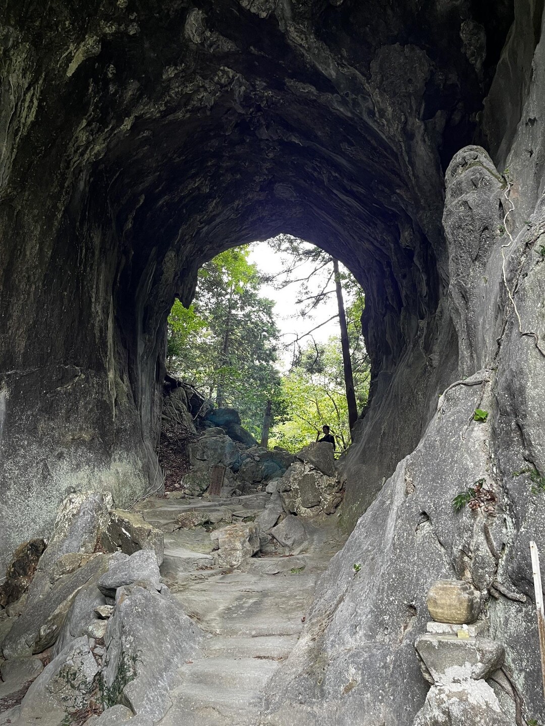 宮山 / machikoさんの高城山・苅田アルプスの活動データ | YAMAP / ヤマップ