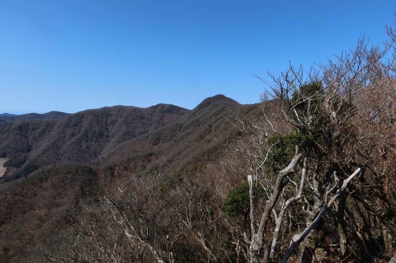 天城山⭐︎万二郎から万三郎を周回 / uraさんの天城山・鉢ノ山・三筋山の活動データ | YAMAP / ヤマップ