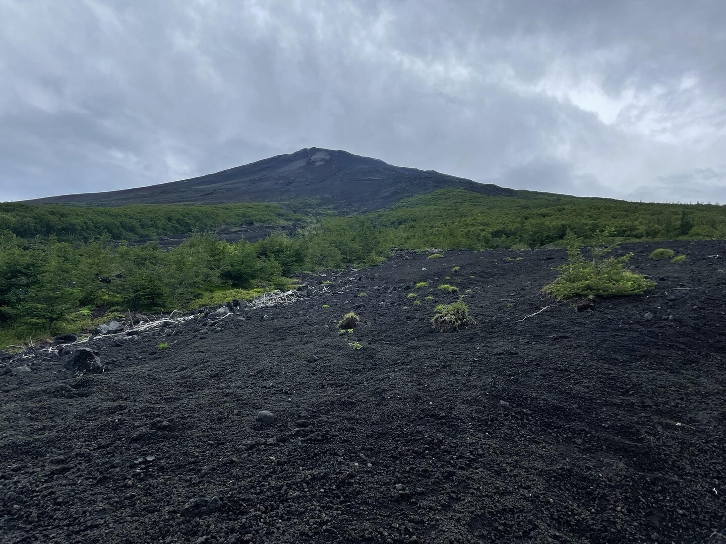 富士山 散歩 / cosoraさんの富士山の活動データ | YAMAP / ヤマップ