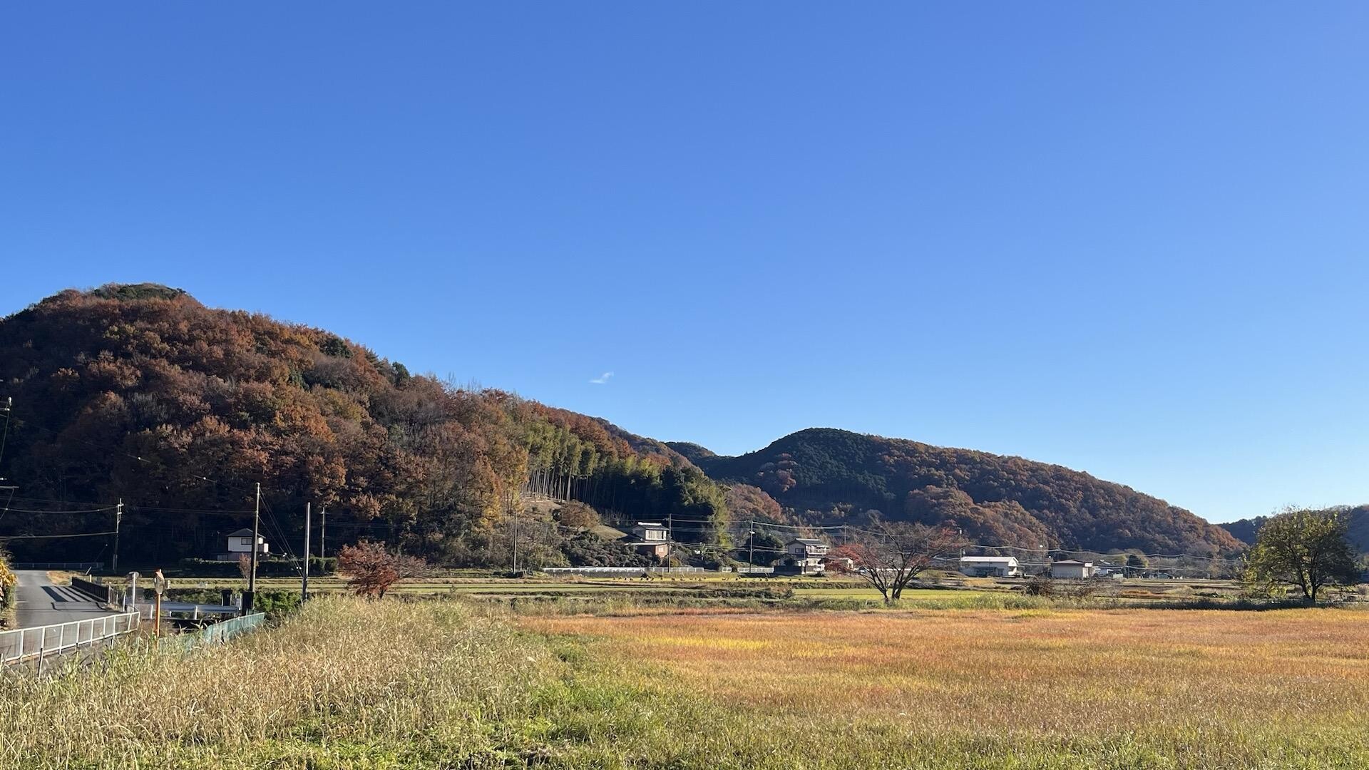 仙元山 / isoさんの武蔵嵐山・大平山・仙元山の活動データ | YAMAP / ヤマップ