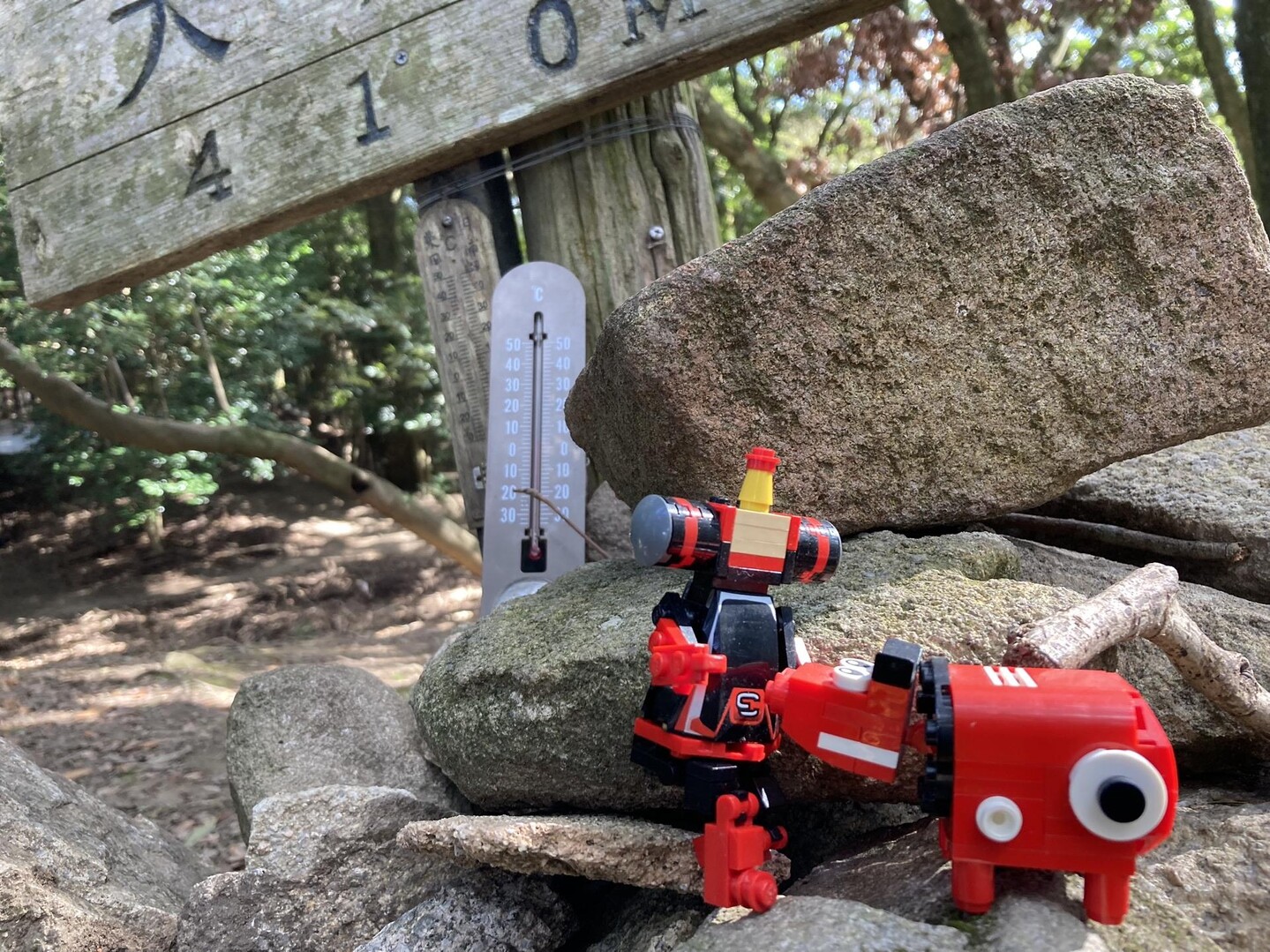 大城山 / Suyamaさんの四王寺山・大城山・大原山の活動日記 | YAMAP / ヤマップ