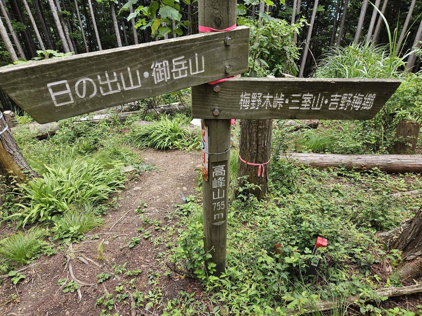 猛暑ニ負ケズ@高峰山 / nekomenさんの高水山・岩茸石山・惣岳山の活動データ | YAMAP / ヤマップ