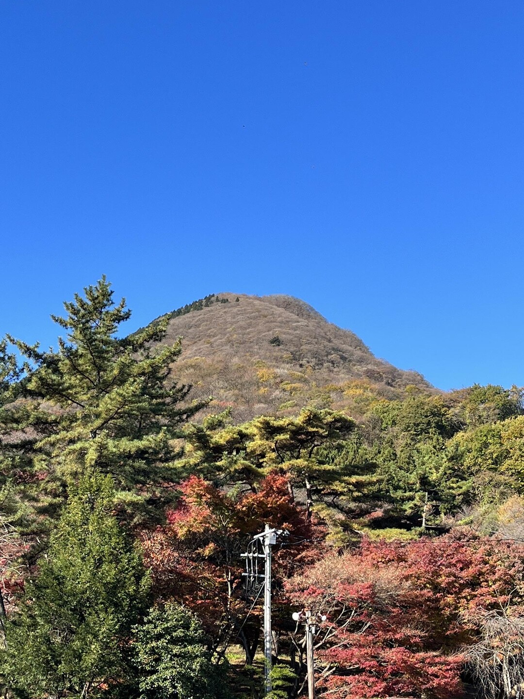 水沢観音-2023-11-18 / samさんの榛名山・天狗山・天目山の活動データ | YAMAP / ヤマップ