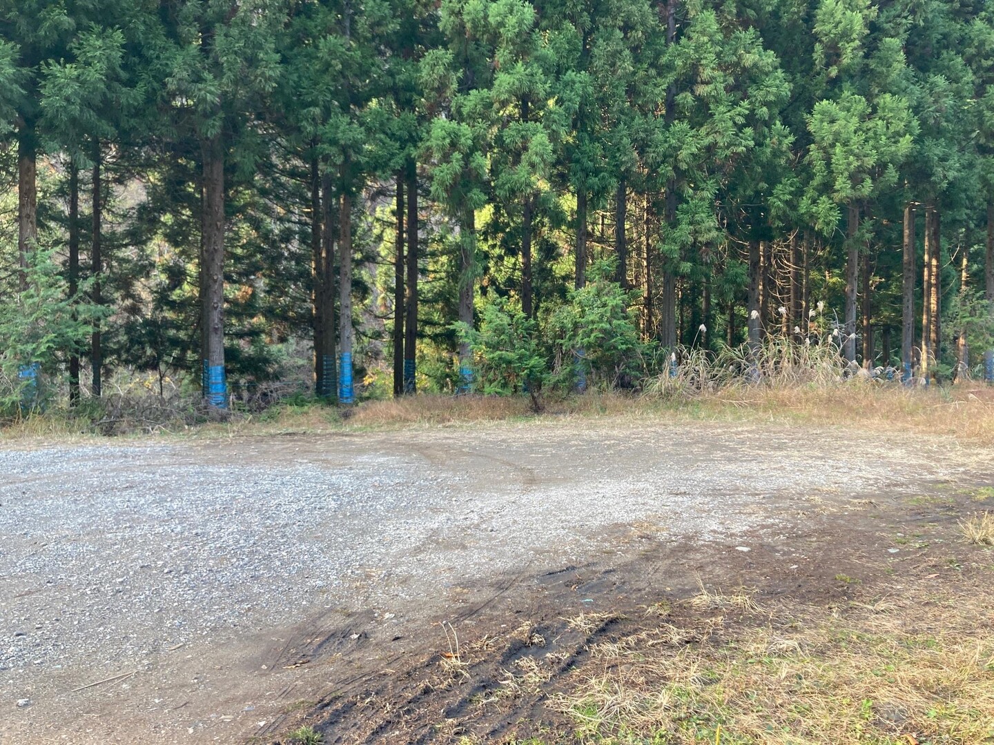 takaさんの投稿したフィールドメモ | YAMAP / ヤマップ