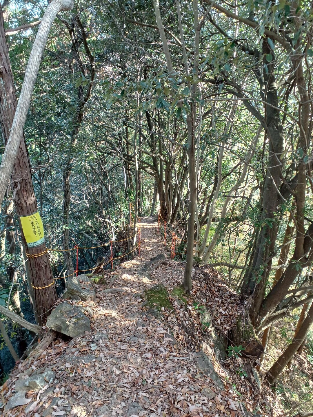 spesさんの投稿したフィールドメモ | YAMAP / ヤマップ