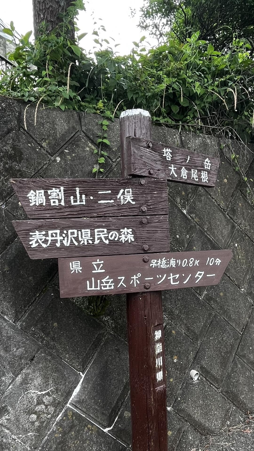 鍋割山🍲 / Sally.Yさんのモーメント | YAMAP / ヤマップ