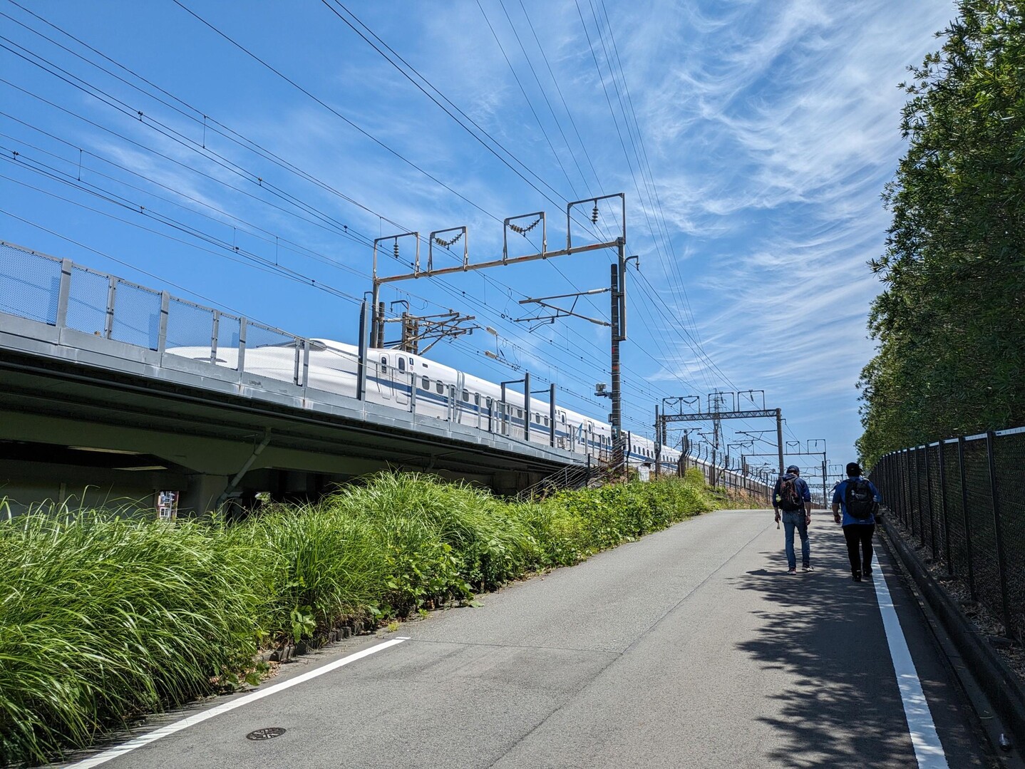 さわやかウォーキング掛川 / AWA-MANさんの粟ヶ岳の活動データ | YAMAP / ヤマップ
