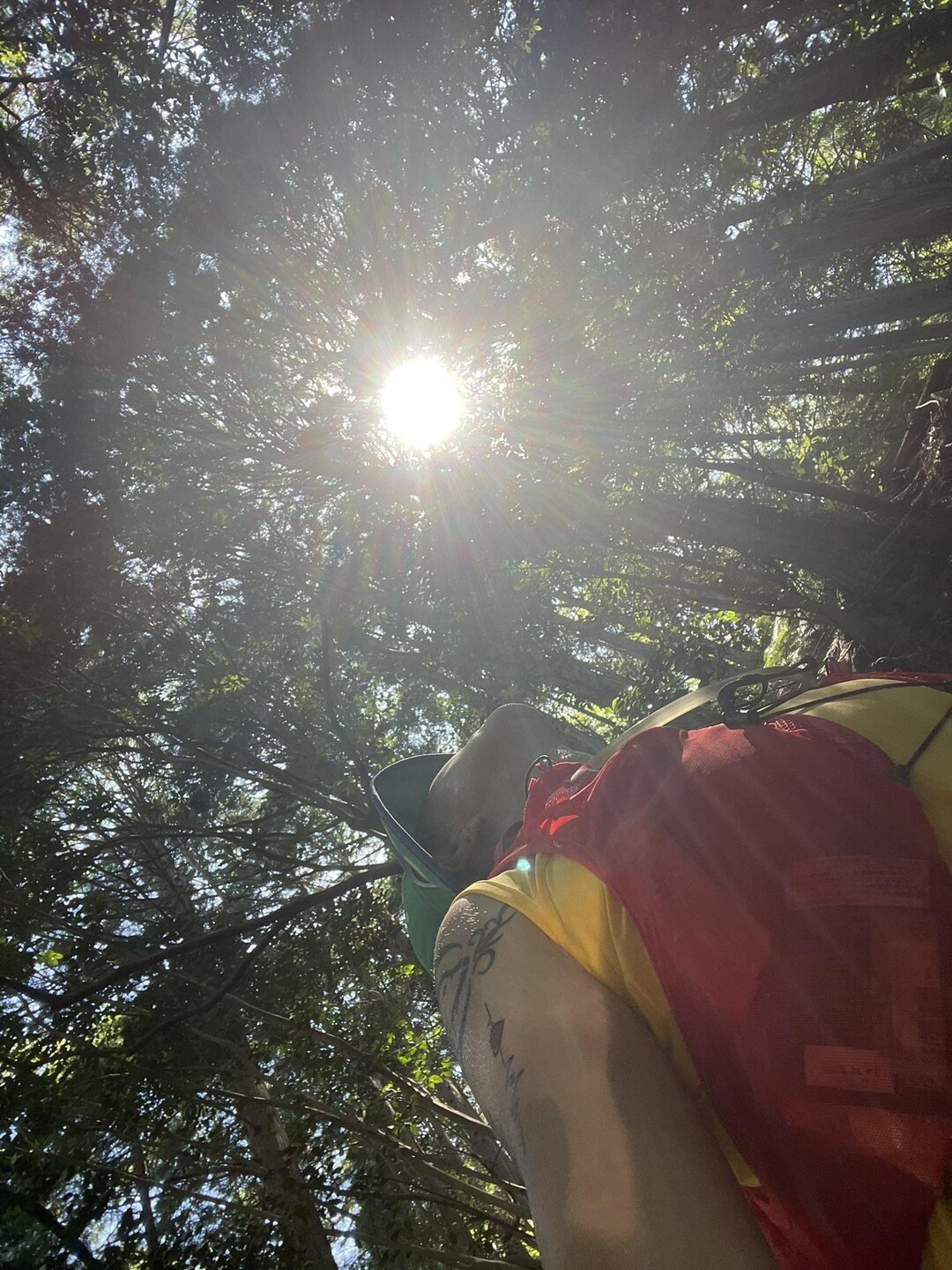 多度山＆多度川で水遊び🩵 / kk_koro♌️さんの多度山・美濃松山・石津御嶽の活動データ | YAMAP / ヤマップ