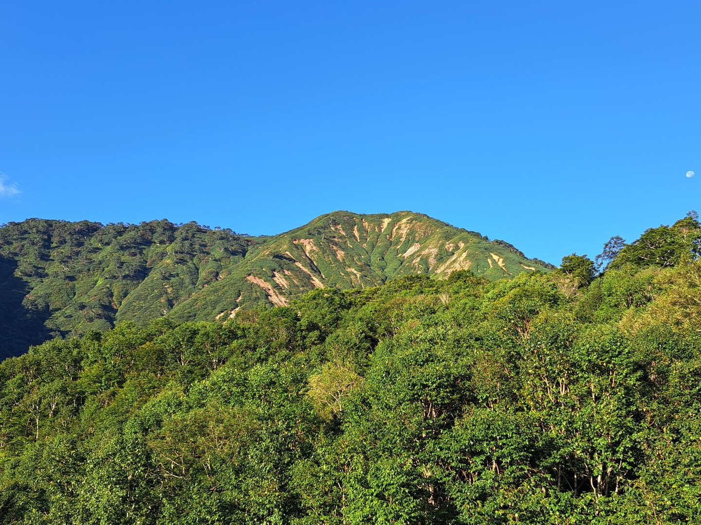 長万部岳 / nomさんの長万部岳の活動データ | YAMAP / ヤマップ