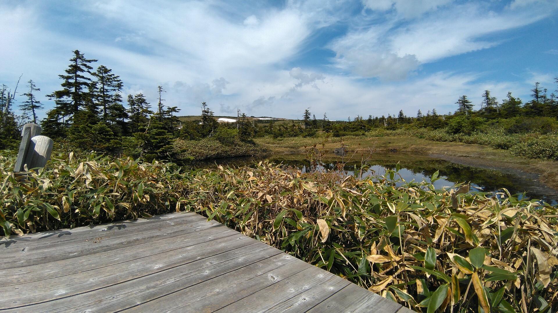 あきひろさんの投稿したフィールドメモ | YAMAP / ヤマップ