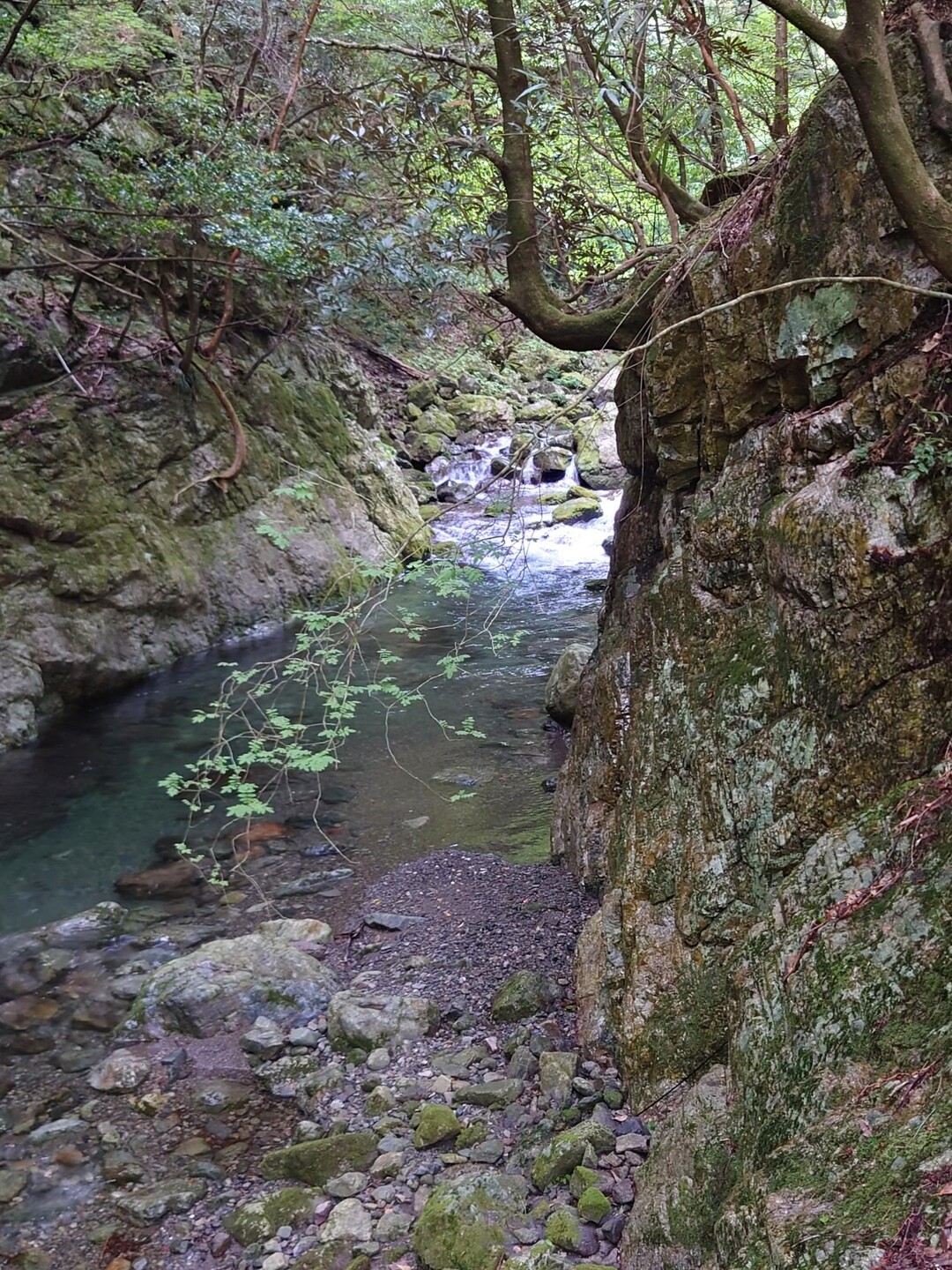 池木屋山・霧降山 / dewarsさんの池木屋山の活動データ | YAMAP / ヤマップ