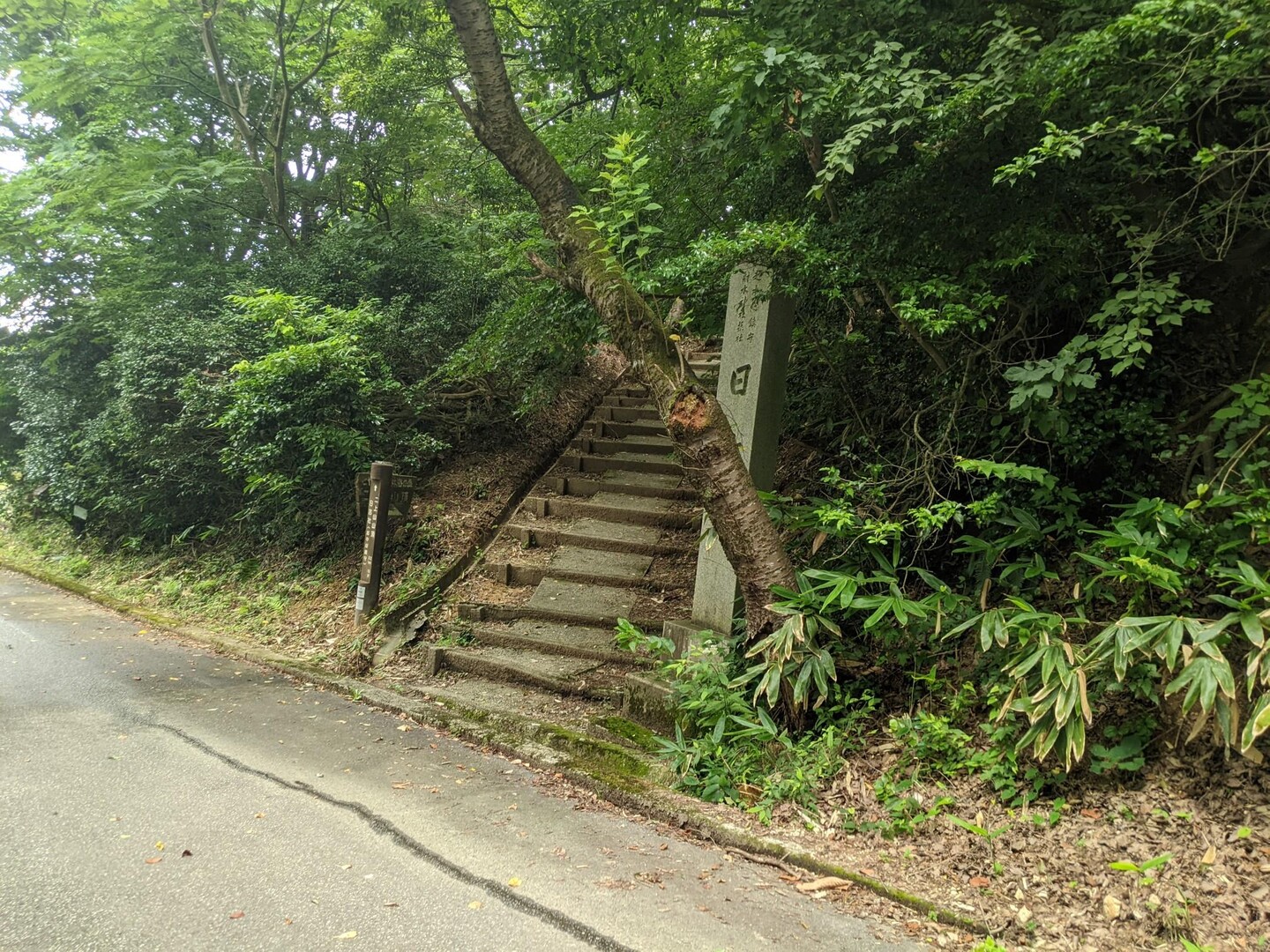 二上さん久しぶり / megmegさんの二上山・大師ヶ岳・摩頂山の活動データ | YAMAP / ヤマップ