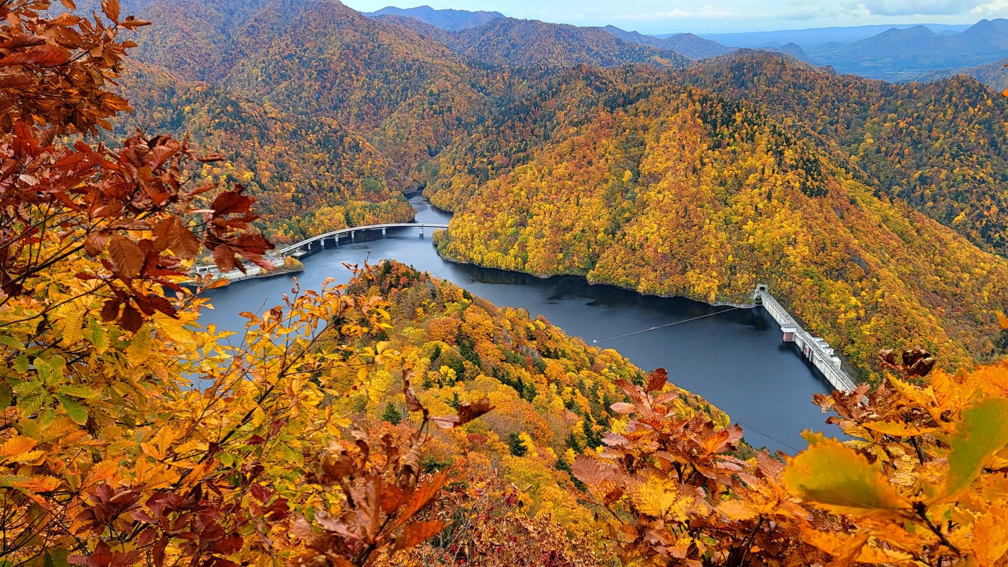 紅葉散りしく定山渓の関🍁 / 😸😎田子作とニャマップ 🐹🐹さんの朝日岳・夕日岳の活動データ | YAMAP / ヤマップ