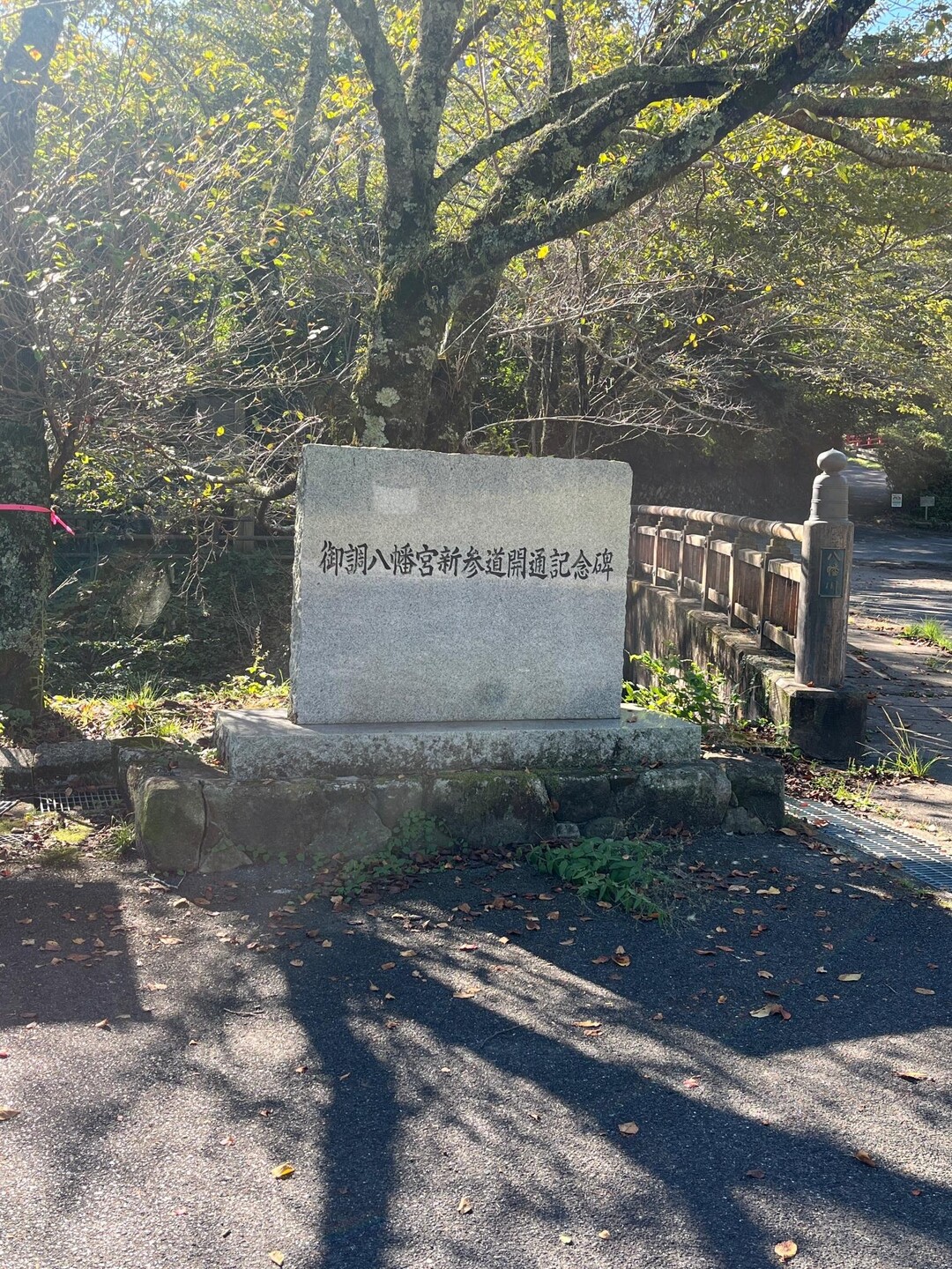 龍王山 / TANAさんの龍王山・大峰山（高羽山)の活動データ | YAMAP / ヤマップ