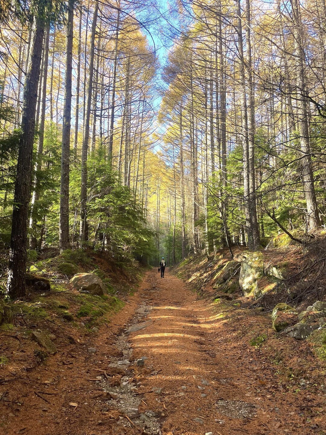 【金峰山】登山136回目 / tahtaさんの瑞牆山・金峰山の活動日記 | YAMAP / ヤマップ