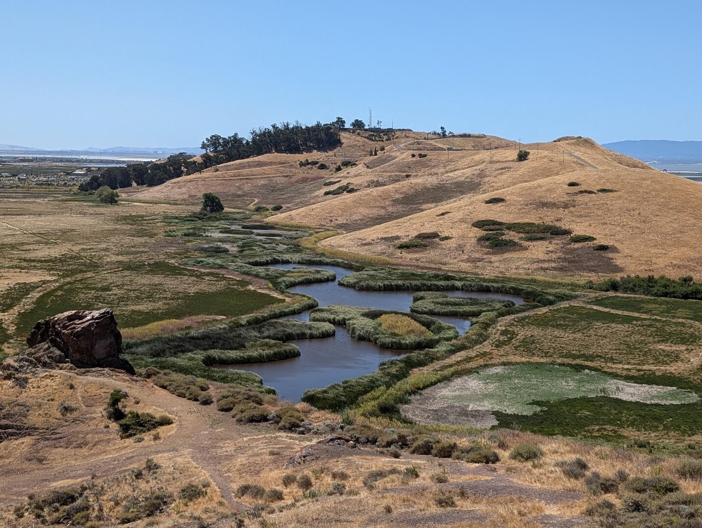 コヨーテ・ヒルズ広域公園 / tjさんの登山の活動データ | YAMAP / ヤマップ