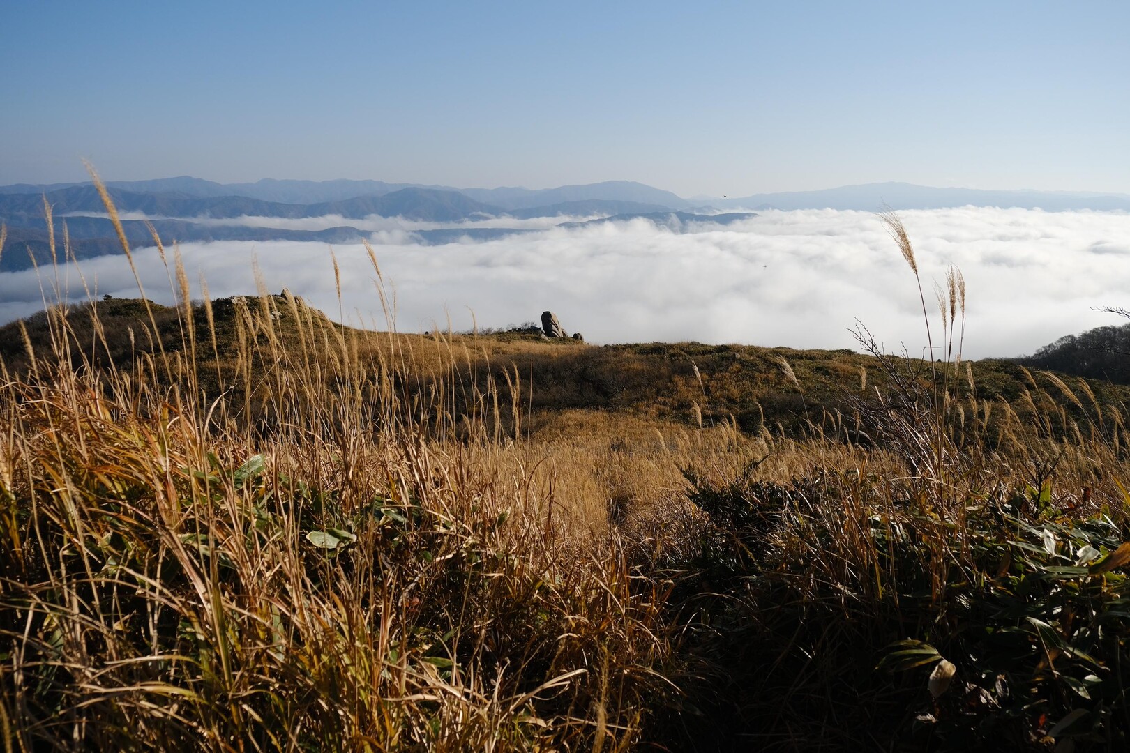 奥野山・岩籠山・夕暮山 / yosucoさんの岩籠山の活動データ | YAMAP / ヤマップ