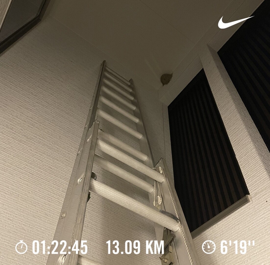 土曜の夜RUN! 産まれたばかりのヒ... / 1129さんのモーメント | YAMAP / ヤマップ