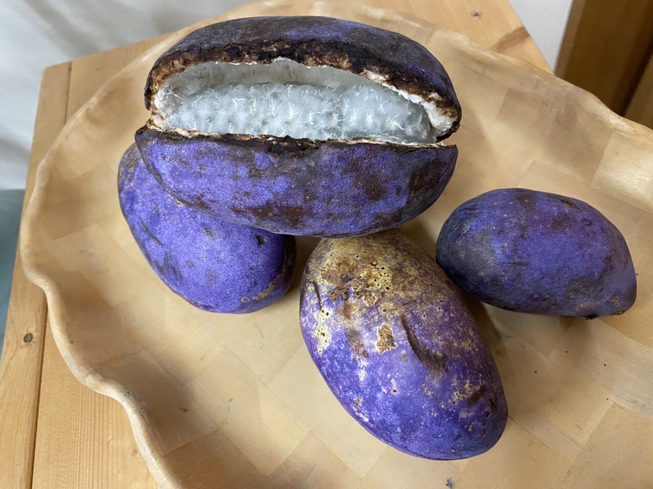 あけび、金木犀、ススキ、萩、シュウメイギ... / koroさんのモーメント | YAMAP / ヤマップ