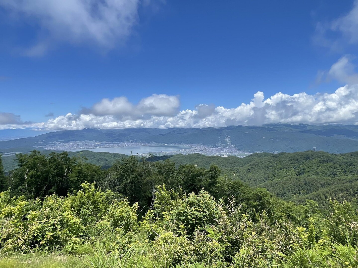 TMM / ®️さんの守屋山の活動データ | YAMAP / ヤマップ