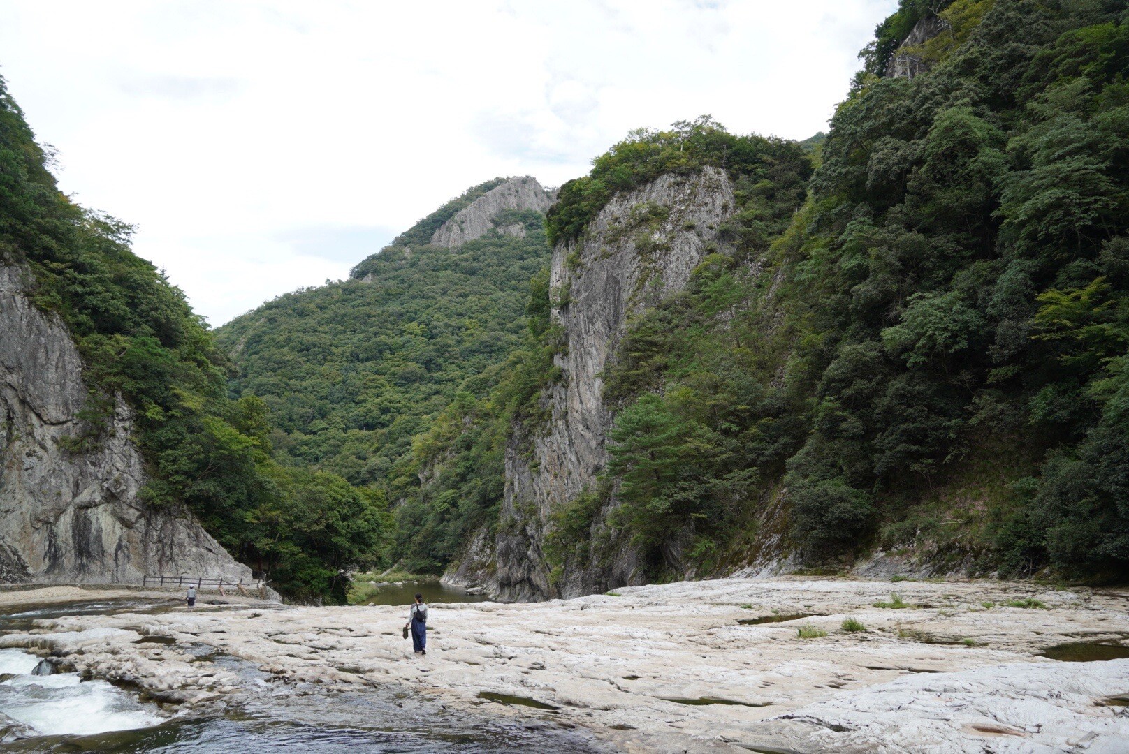冠山のおかわりで断魚溪散策🥾 / masaikeさんの冠山（石見冠山）の活動データ | YAMAP / ヤマップ