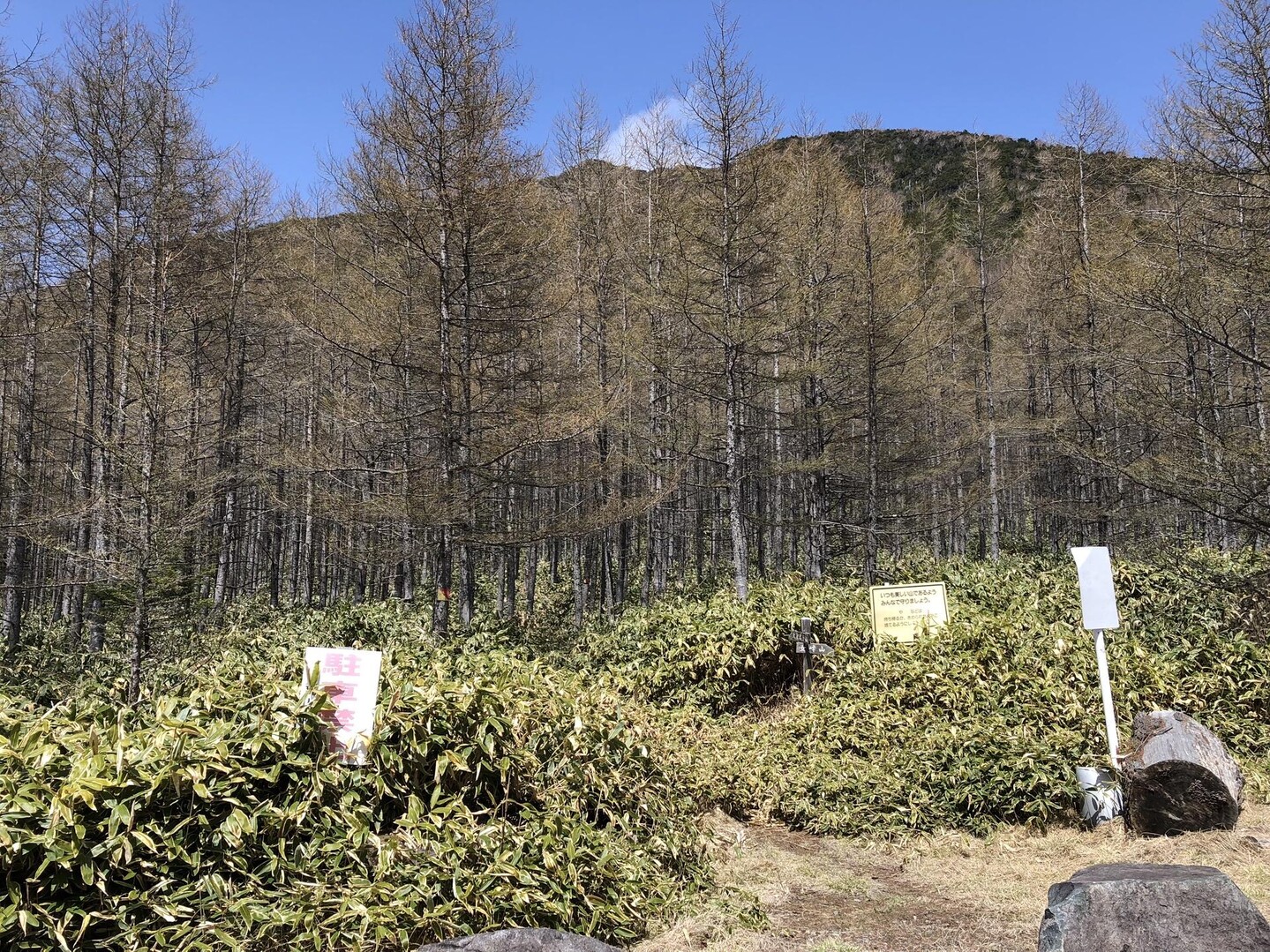 大真名子山 / fpさんの男体山の活動データ | YAMAP / ヤマップ