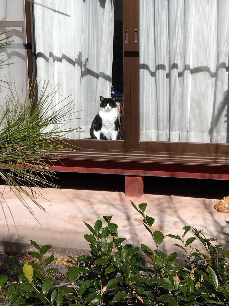 Mocoのページ | YAMAP / ヤマップ